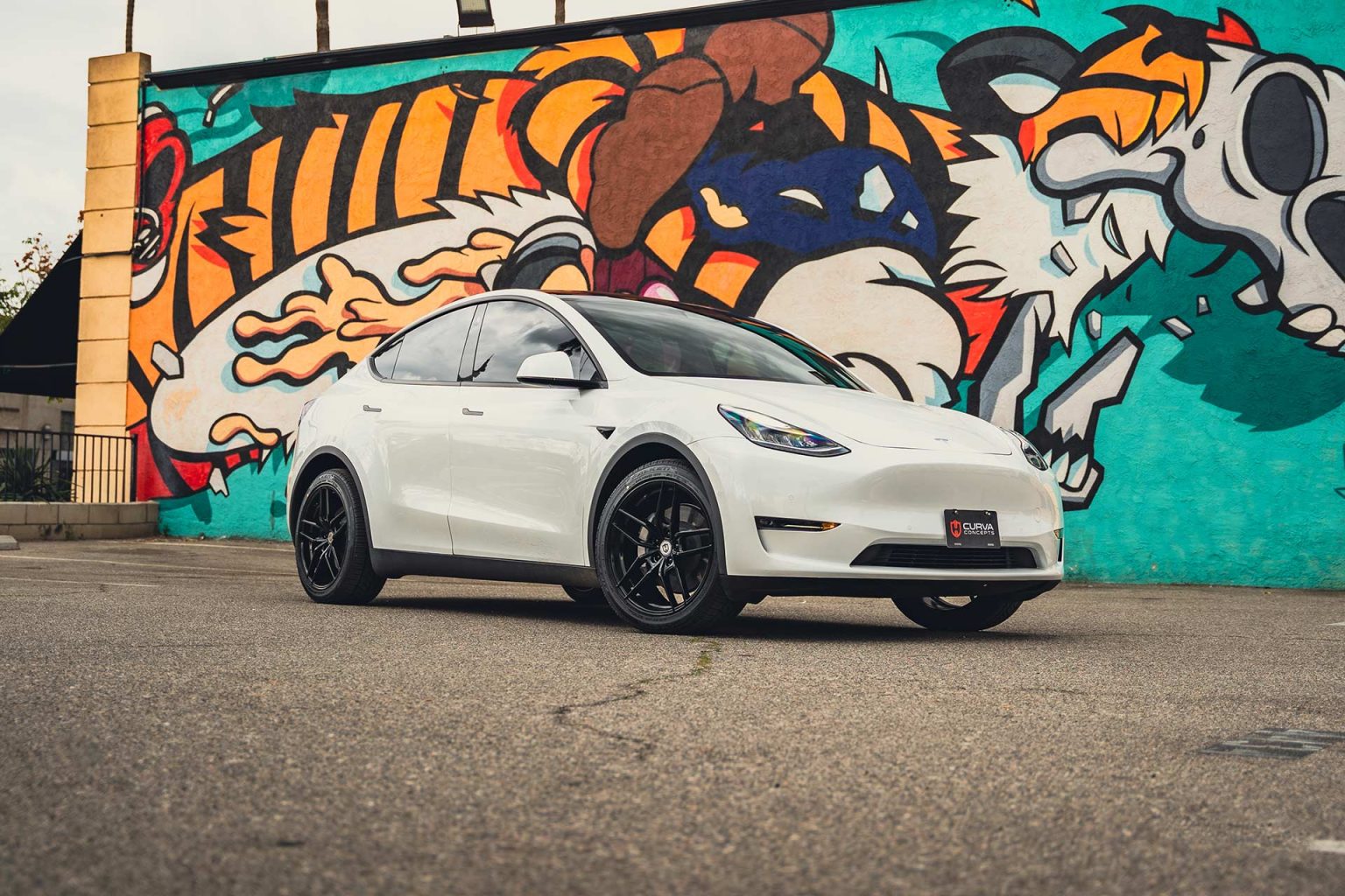 Tesla Model Y Wheels & Fitment Guide | Curva Concepts